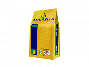 ADV9293 - Maíz - Advanta Semillas - Diproagro
